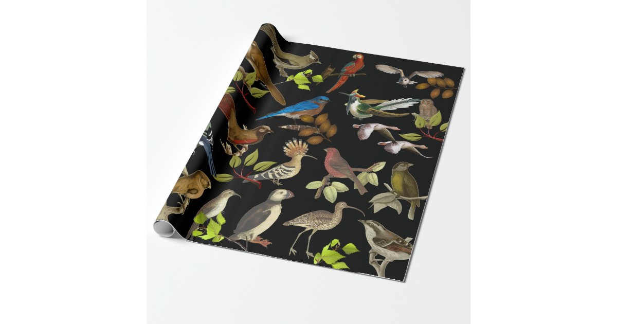 Birds & More Birds Wrapping Paper | Zazzle