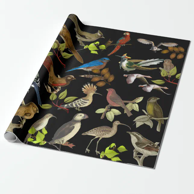 Birds & More Birds Wrapping Paper | Zazzle