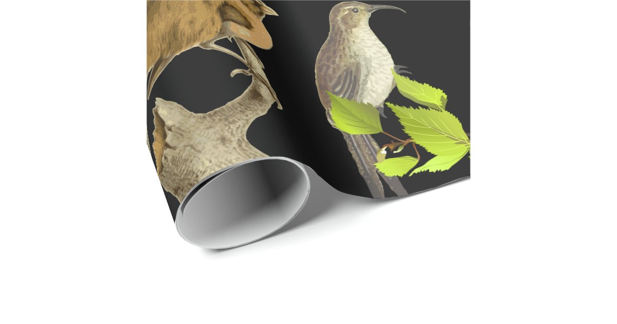 Birds & More Birds Wrapping Paper | Zazzle.com