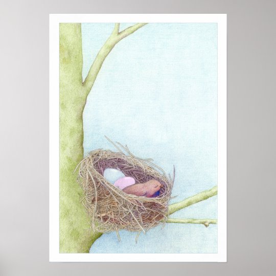 Birds Nest Poster | Zazzle.com