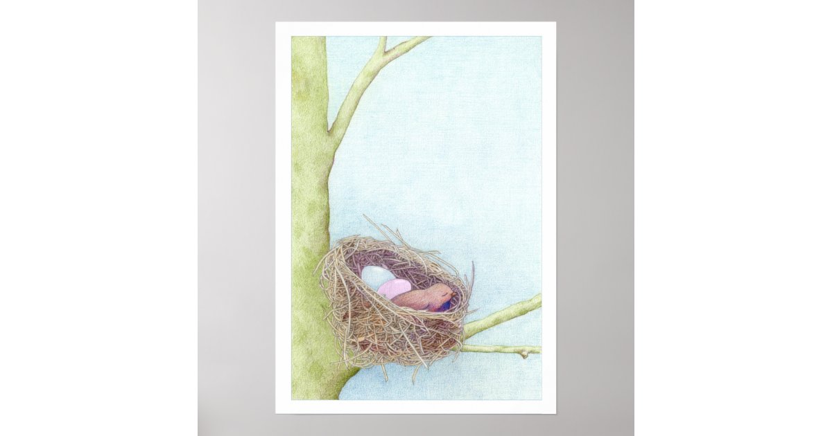 Birds Nest Poster | Zazzle