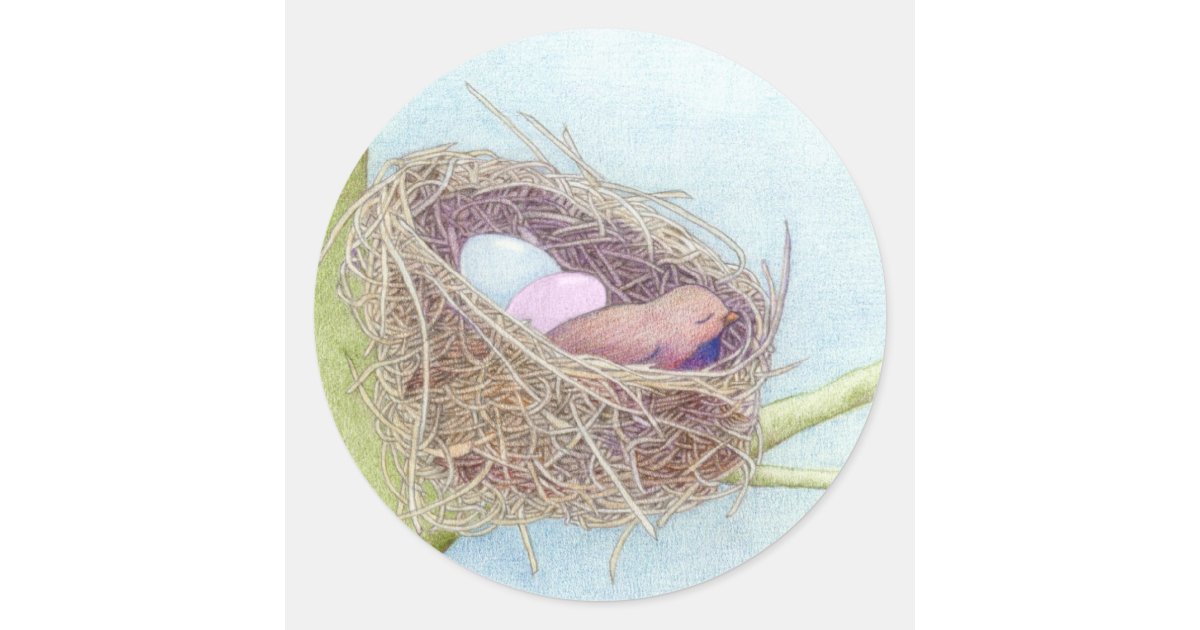 Birds Nest Sticker | Zazzle