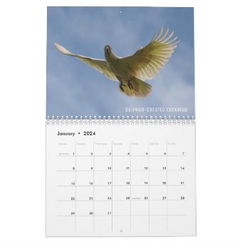 Birds of Australia 2021 Animal Calendar | Zazzle