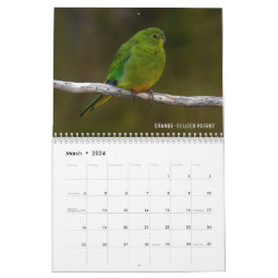 Birds of Australia 2021 Animal Calendar | Zazzle