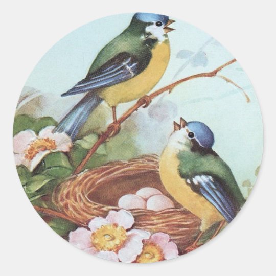 Birds on a Nest - Sticker | Zazzle.com