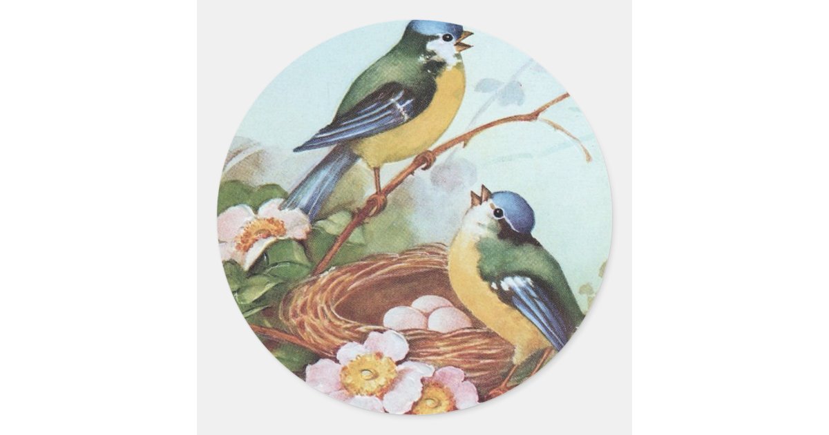 Birds on a Nest - Sticker | Zazzle.com