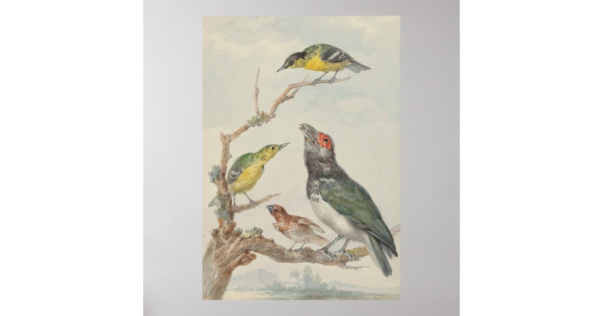 Birds on a perch nature painting poster | Zazzle