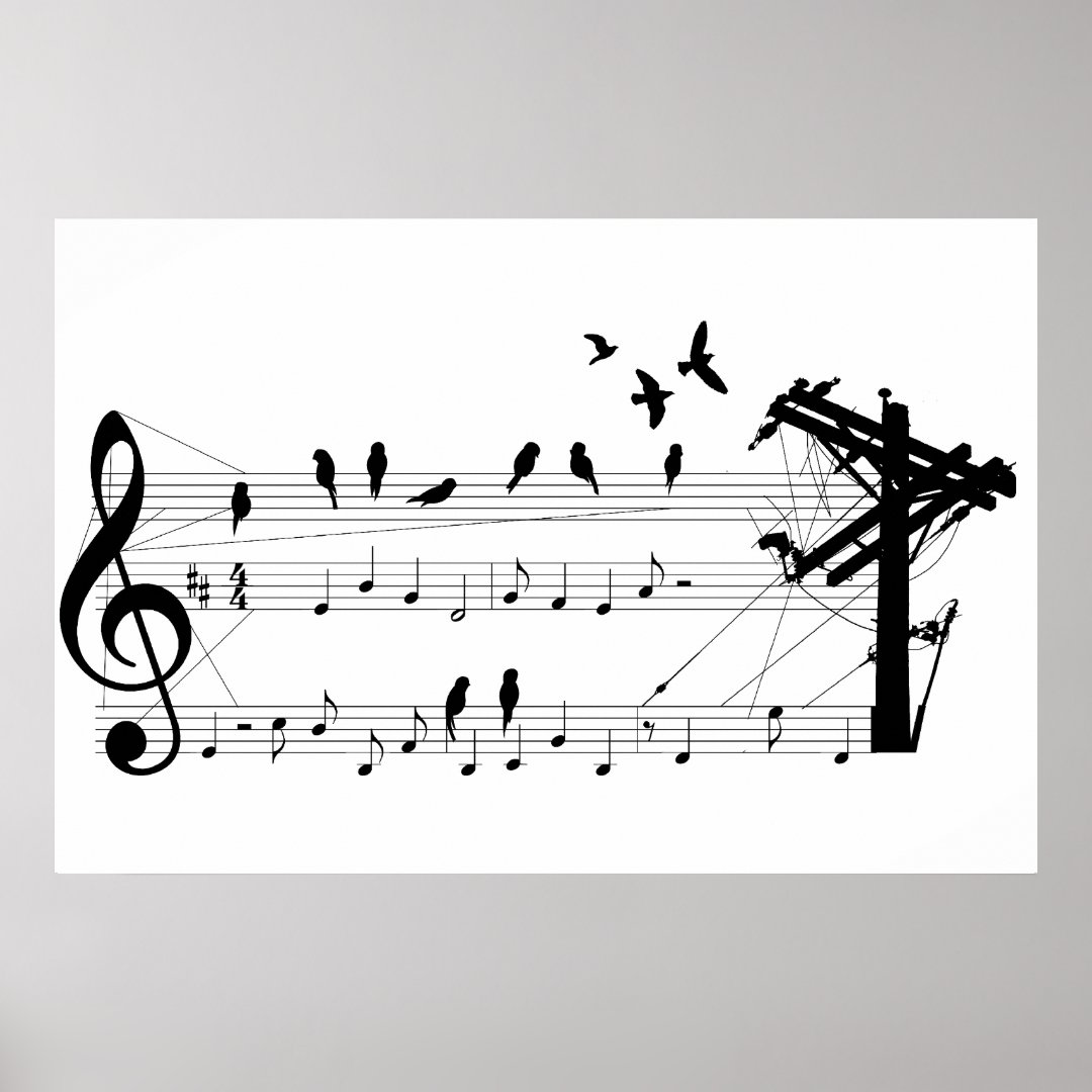 Birds on a Score poster | Zazzle