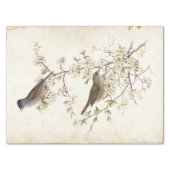 Birds on Flowering Branch Parchment Decoupage Tissue Paper | Zazzle