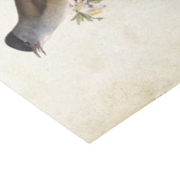 Birds on Flowering Branch Parchment Decoupage Tissue Paper | Zazzle