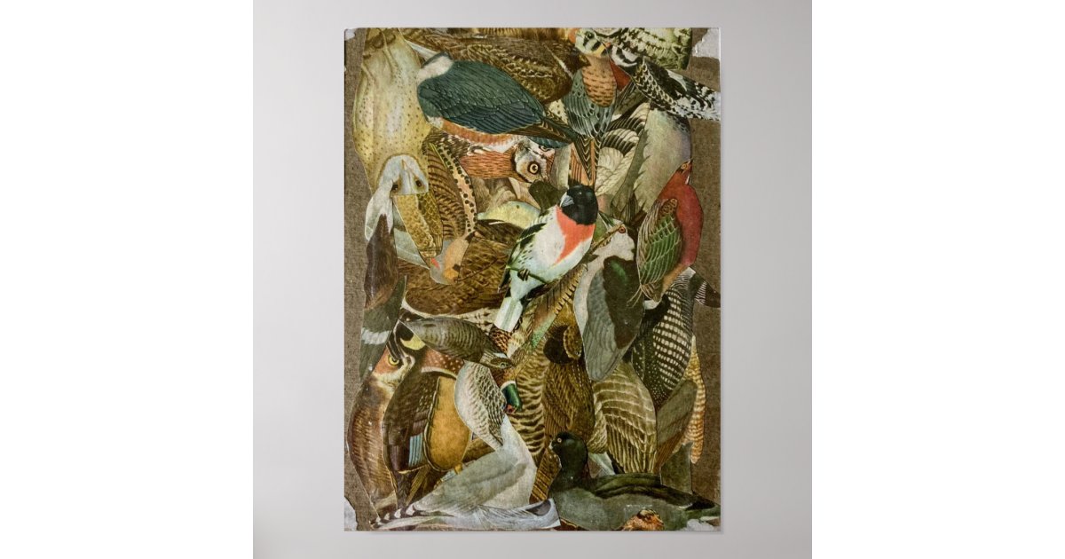 "Birds"- paper collage Poster | Zazzle