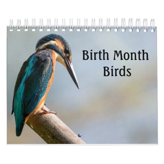 Birth Month Birds Calendar | Zazzle.com