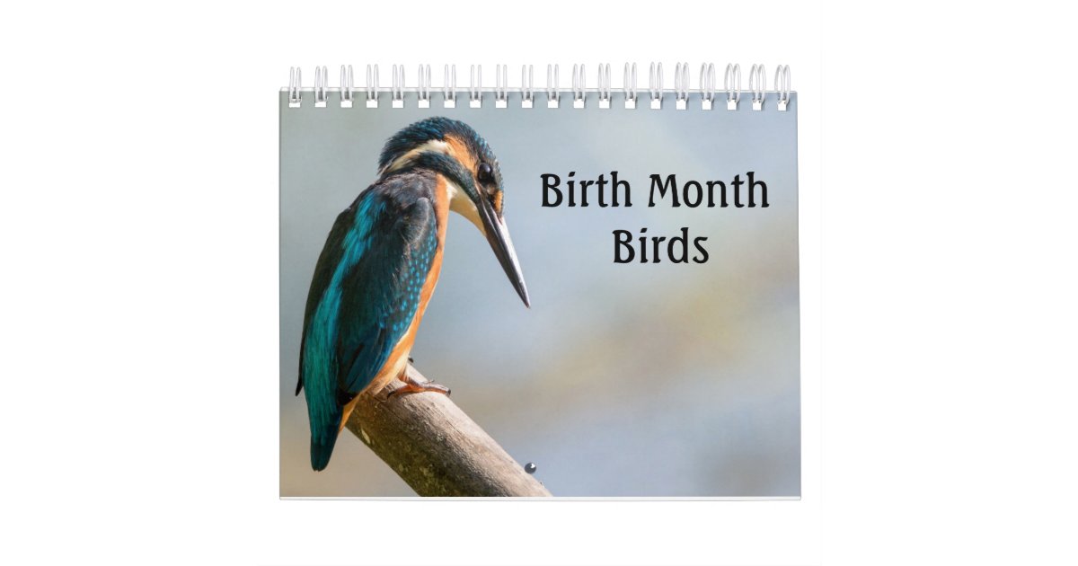 Birth Month Birds Calendar | Zazzle