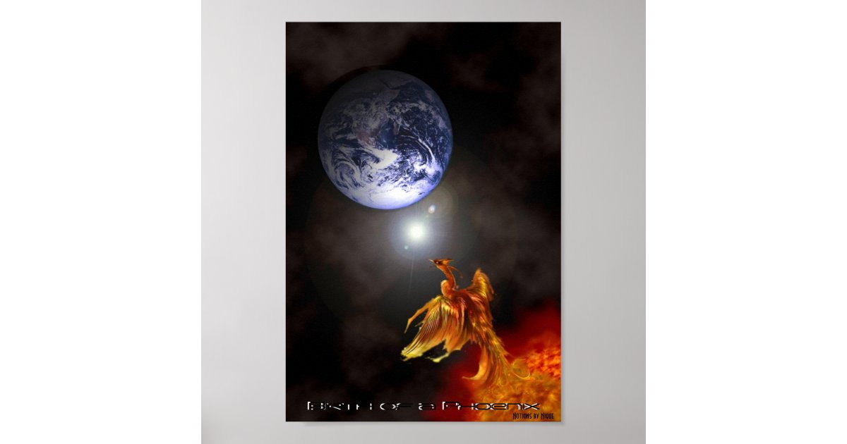 Birth of a Phoenix Poster | Zazzle