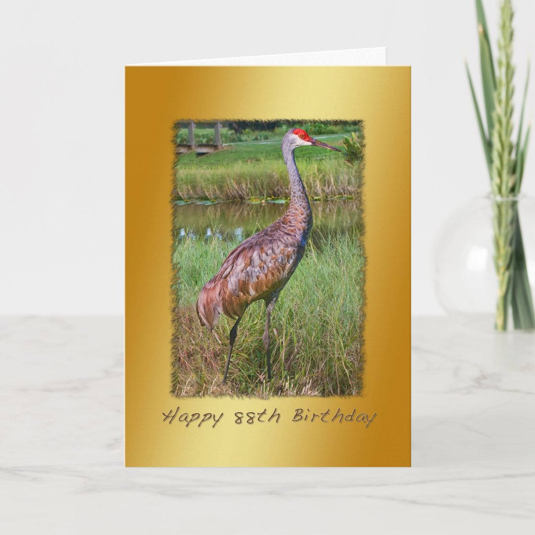 Birthday, 88th, Sandhill Crane Bird Card | Zazzle