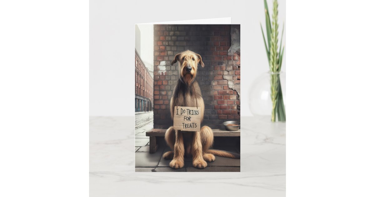 Birthday Begging Dog With Cardboard Sign Card | Zazzle