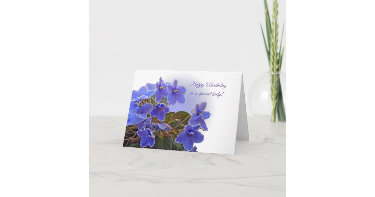 Birthday Blue African Violets Card | Zazzle