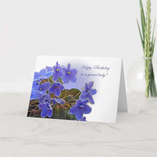 Birthday Blue African Violets Card | Zazzle