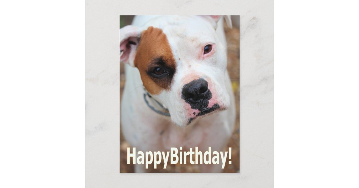 Birthday Boop Card | Zazzle