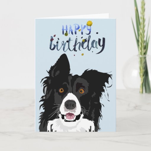 Birthday Border Collie Dog Animal Card | Zazzle
