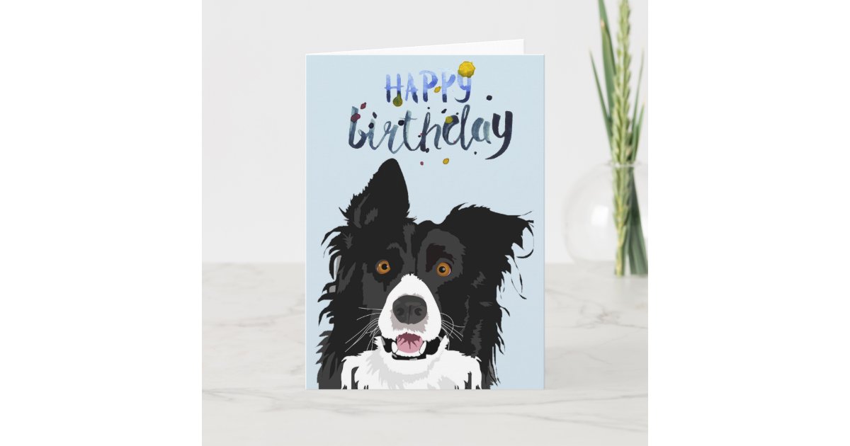 Birthday Border Collie Dog Animal Card | Zazzle.com