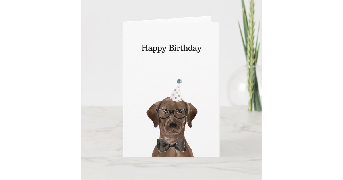Birthday Card, Chocolate Labrador Card | Zazzle