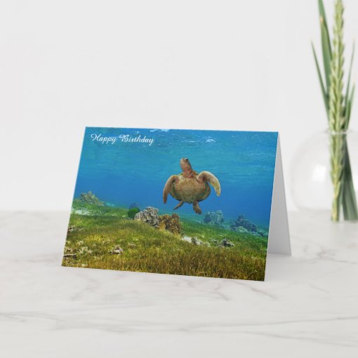 Birthday Card Sea Turtle | Zazzle