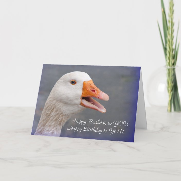 Birthday Card: Singing Goose Card | Zazzle