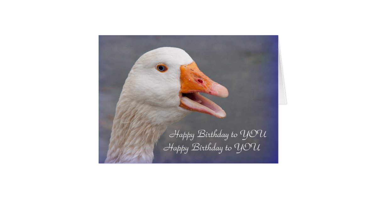 Birthday Card: Singing Goose Card | Zazzle.com