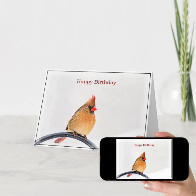 Birthday Card with a female Cardinal | Zazzle
