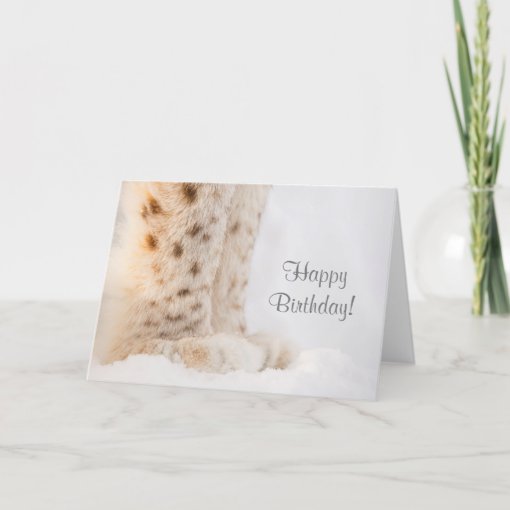 Birthday card with soft golden lynx paws in snow | Zazzle