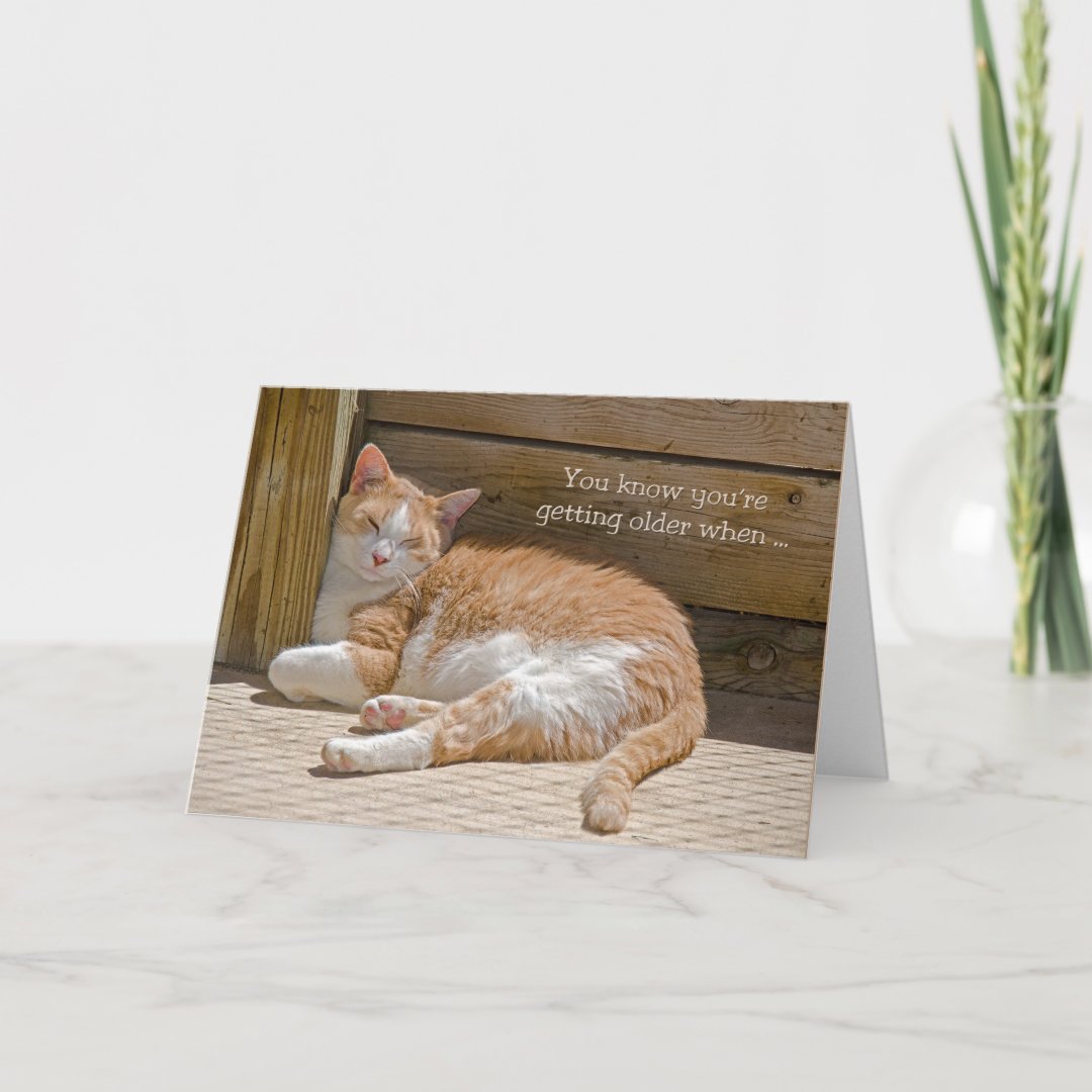 Birthday Cat Nap Card | Zazzle
