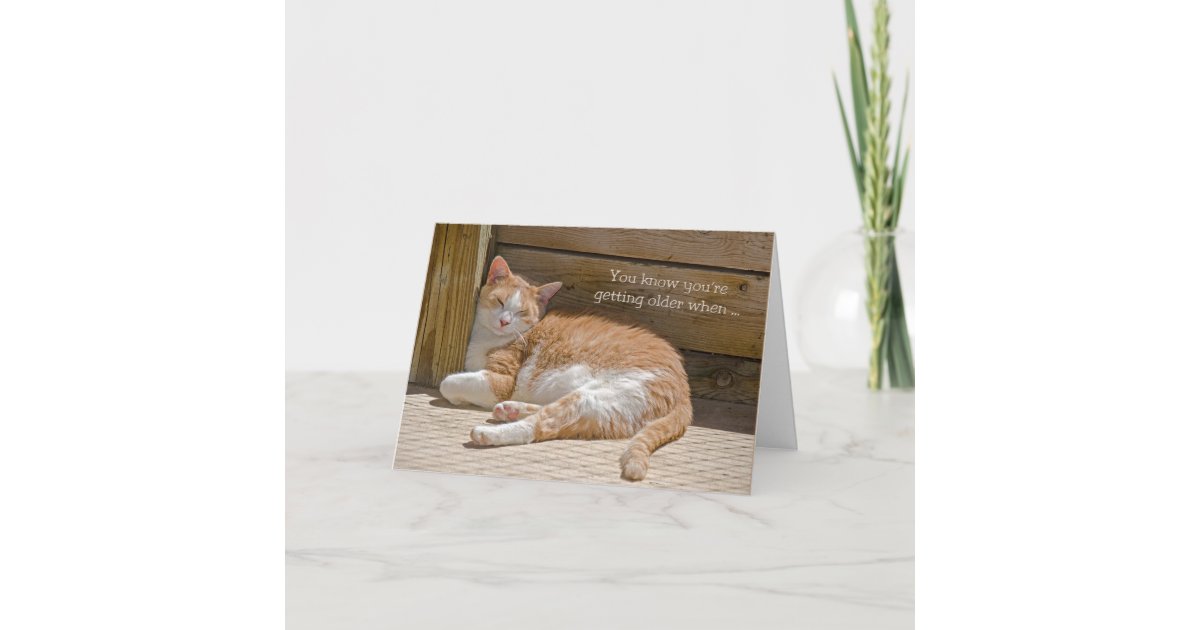 Birthday Cat Nap Card | Zazzle