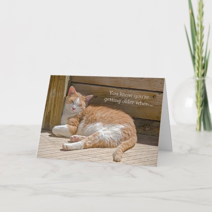 Birthday Cat Nap Card | Zazzle