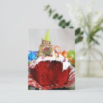 Birthday Chipmunk Postcard | Zazzle