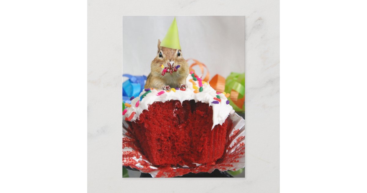 Birthday Chipmunk Postcard | Zazzle