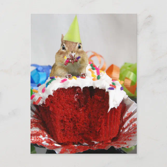 Birthday Chipmunk Postcard | Zazzle