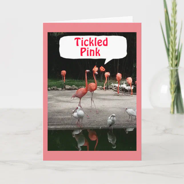 BIRTHDAY COMPLIMENT FLAMINGOS ARE "TICKLED PINK" CARD | Zazzle