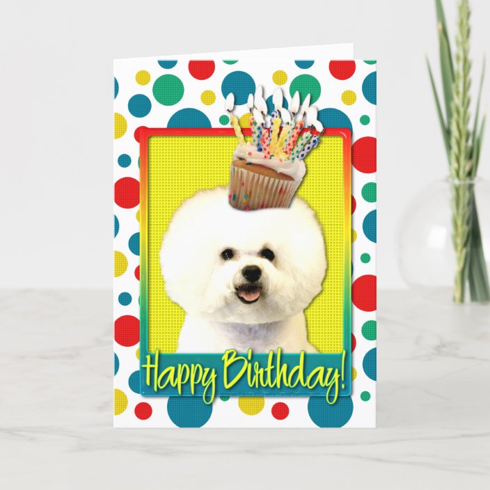 Birthday Cupcake - Bichon Frise Card | Zazzle.com