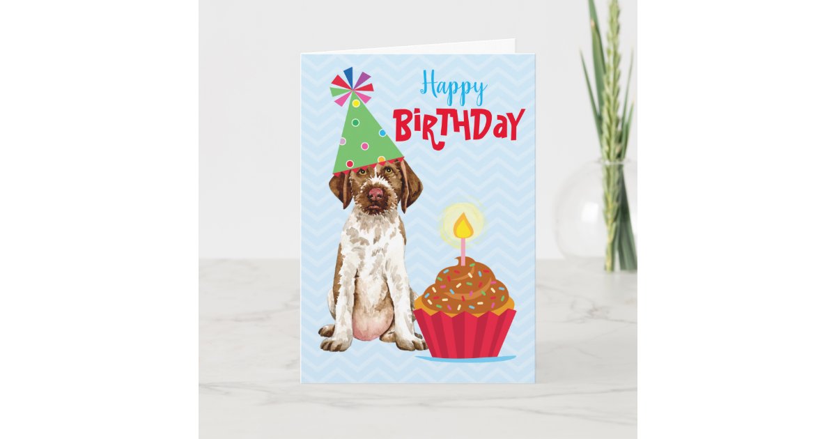 Birthday Cupcake German Wirehaired Pointer Card | Zazzle