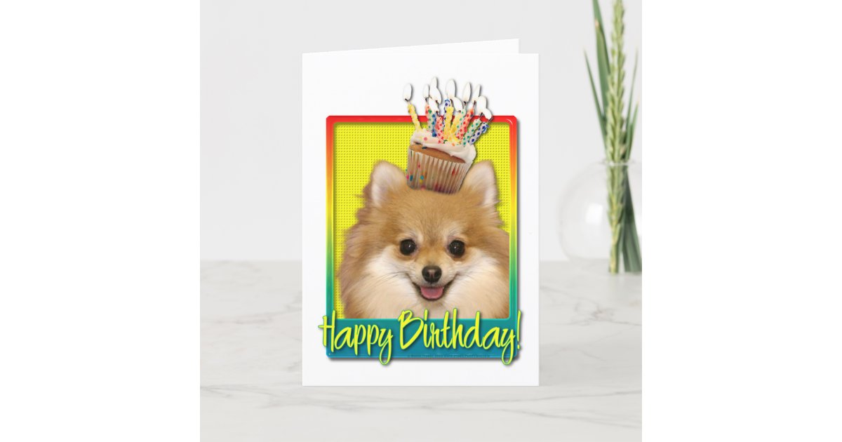 Birthday Cupcake - Pomeranian Card | Zazzle