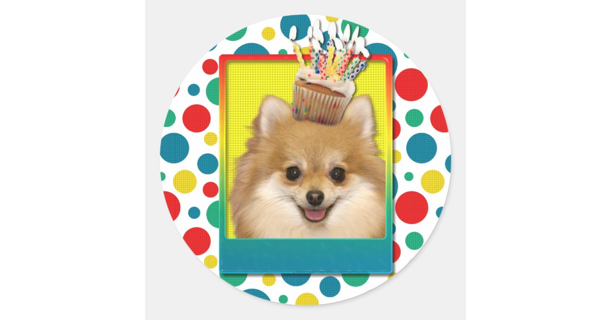 Birthday Cupcake - Pomeranian Classic Round Sticker | Zazzle