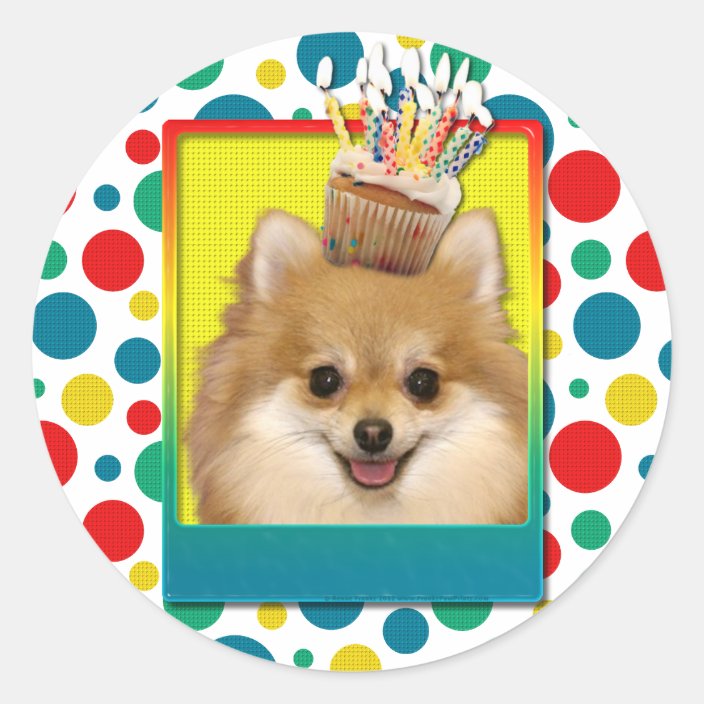 Birthday Cupcake - Pomeranian Classic Round Sticker | Zazzle