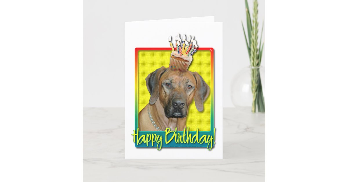 Birthday Cupcake - Rhodesian Ridgeback Card | Zazzle
