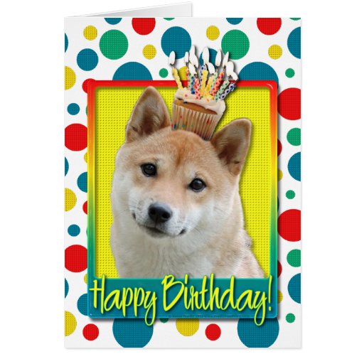 Birthday Shibe