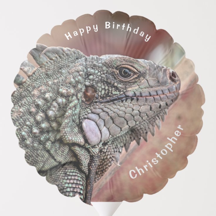 Birthday Exotic Reptile Animal Pet Tropical Balloon | Zazzle