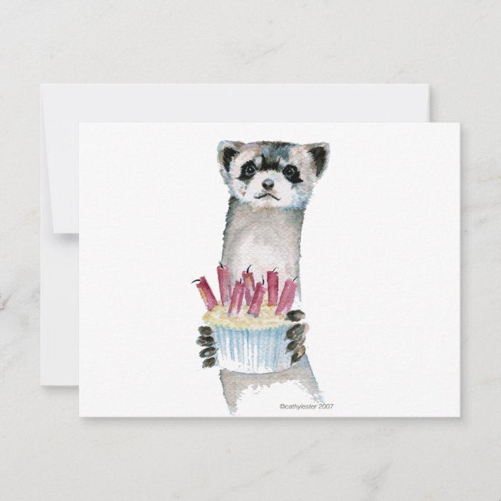 Birthday Ferret Card | Zazzle.com