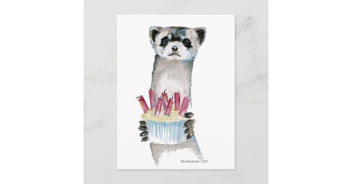 Birthday Ferret Postcard | Zazzle