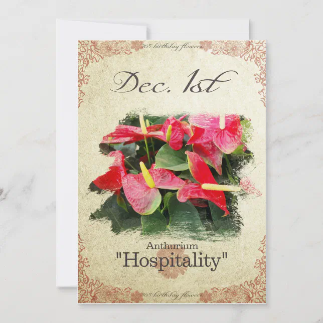 Birthday flowers on December 1st "Anthurium" Card | Zazzle