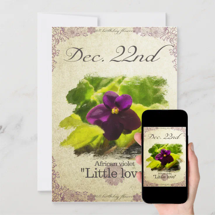 Birthday flowers on December 22nd "African violet" Card | Zazzle